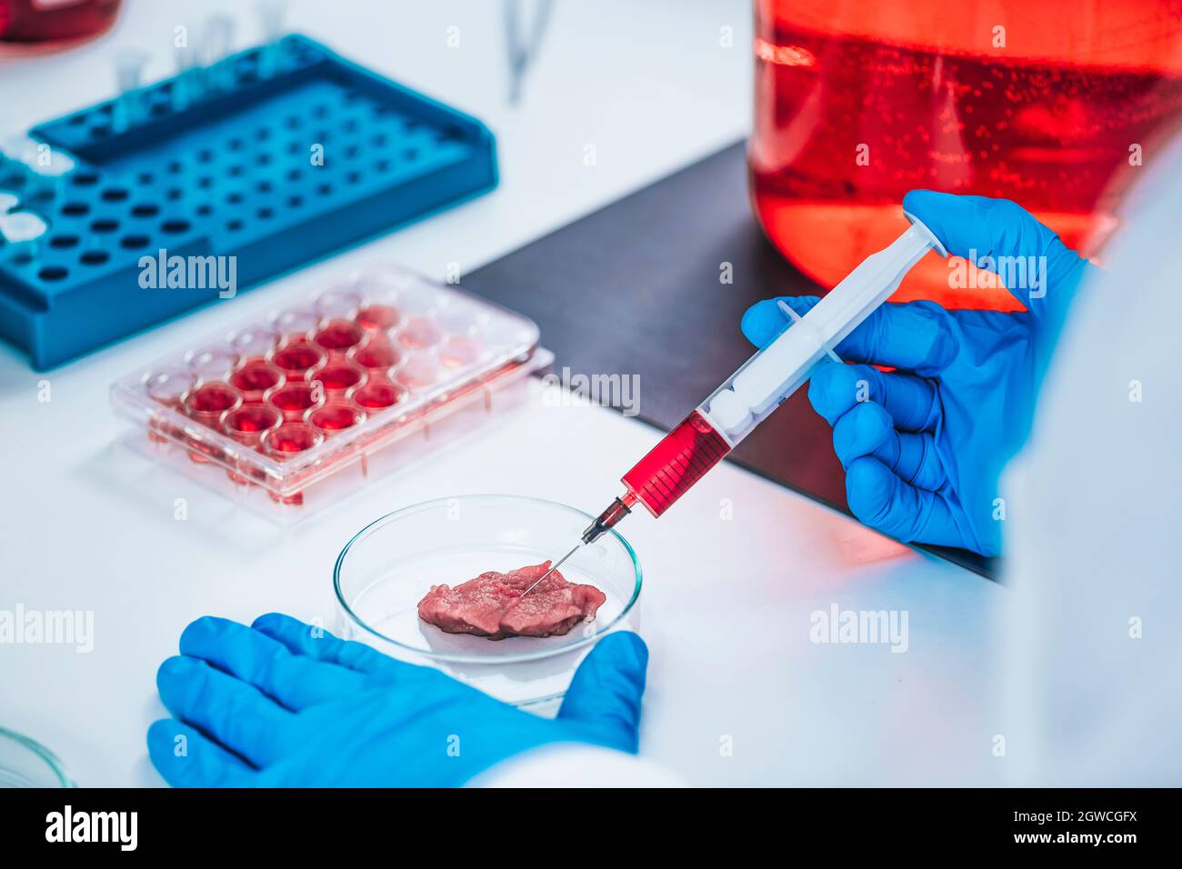 Test meat hi-res stock photography and images - Alamy