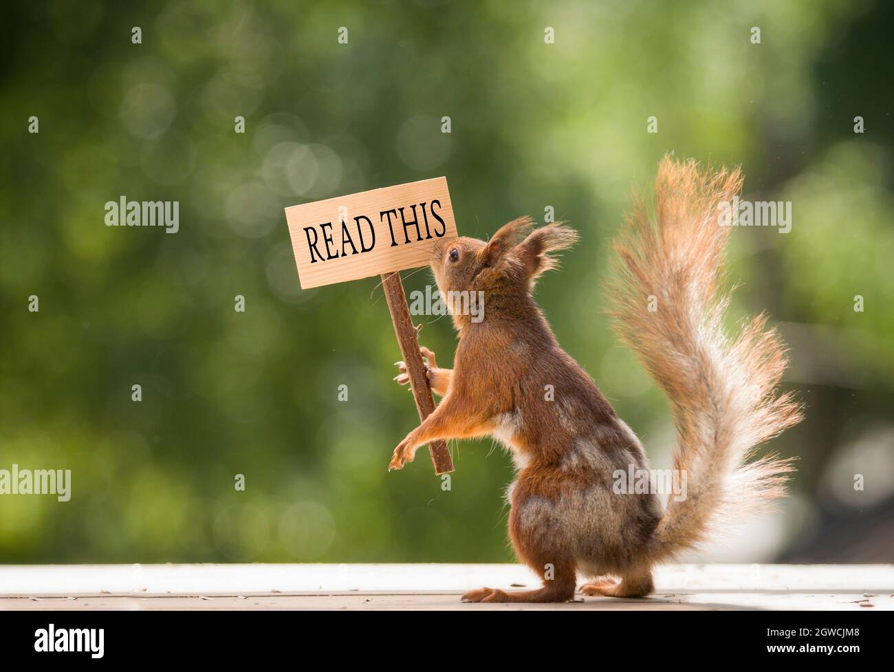 Read the sign hi-res stock photography and images - Alamy