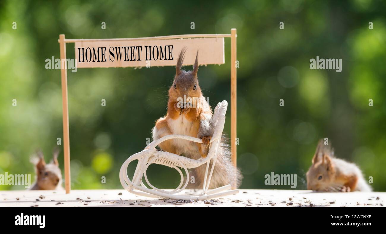 Sitting in a rocking chair hi-res stock photography and images - Alamy