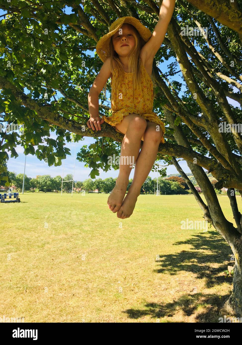 Children with trees hi-res stock photography and images - Alamy