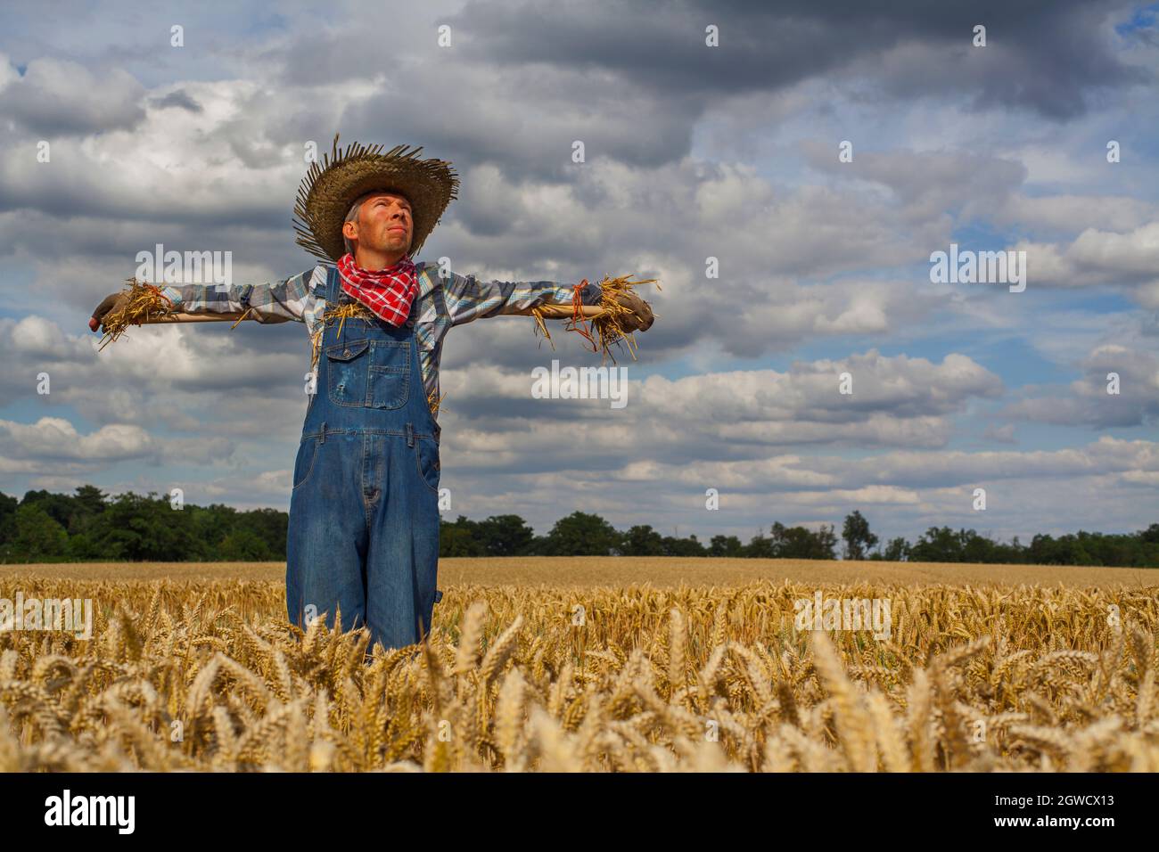 Real Scarecrow High Resolution Stock Photography and Images - Alamy