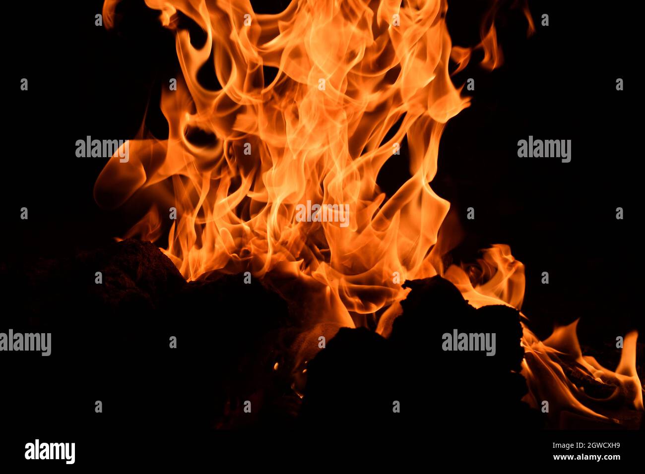 Flame anemone hi-res stock photography and images - Alamy
