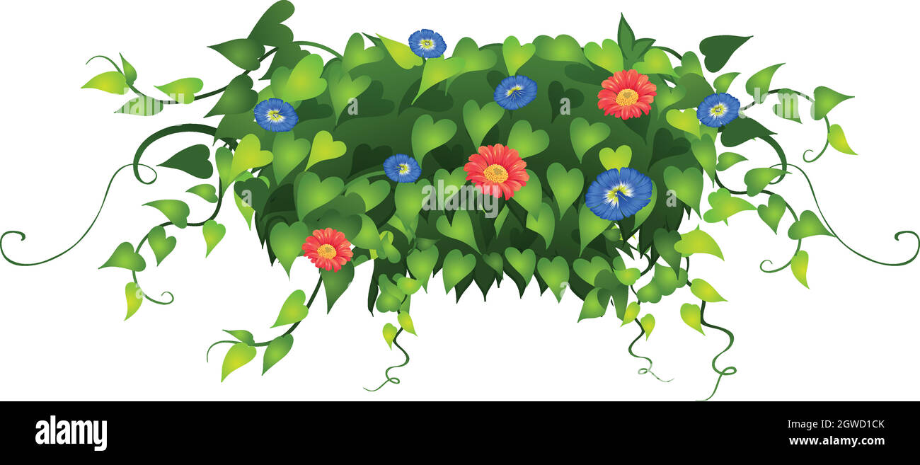 Tropical flowers design Stock Vector Images - Alamy
