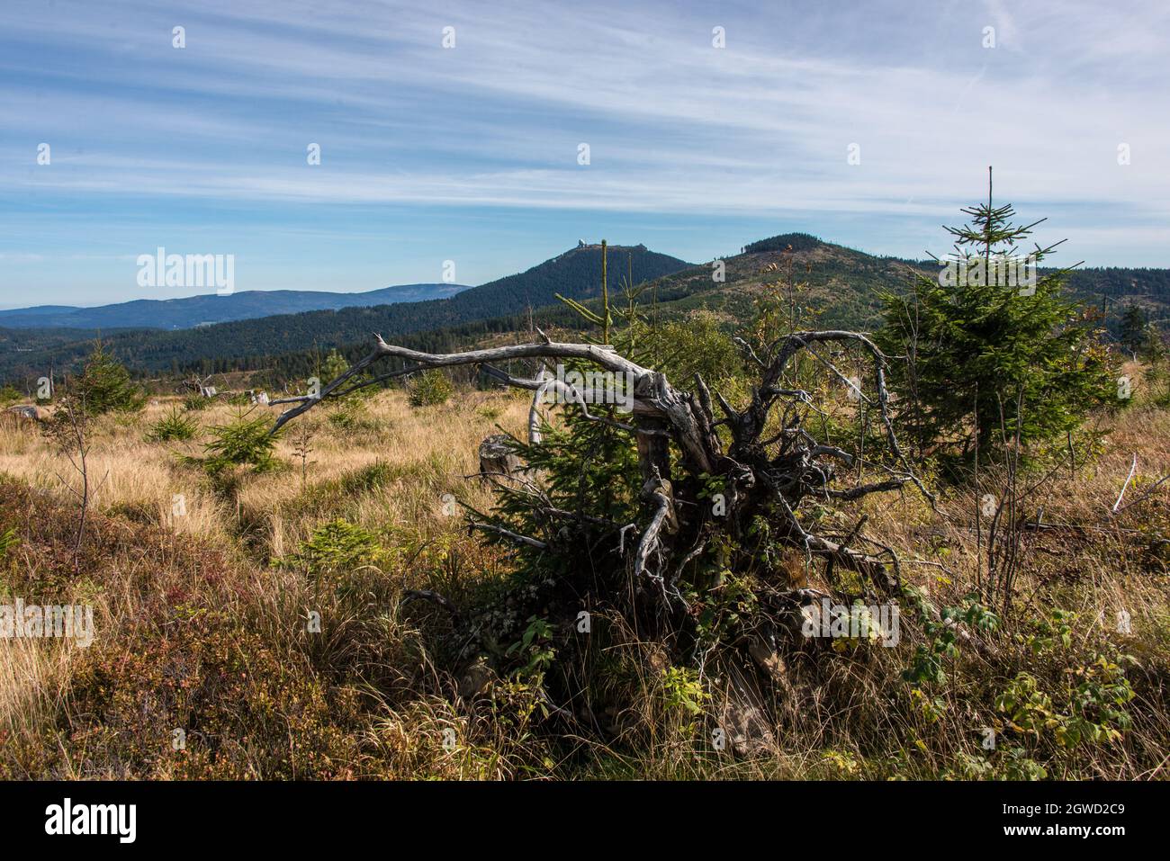 Western view of the two mountains Großer Arber und Kleiner Arber ...