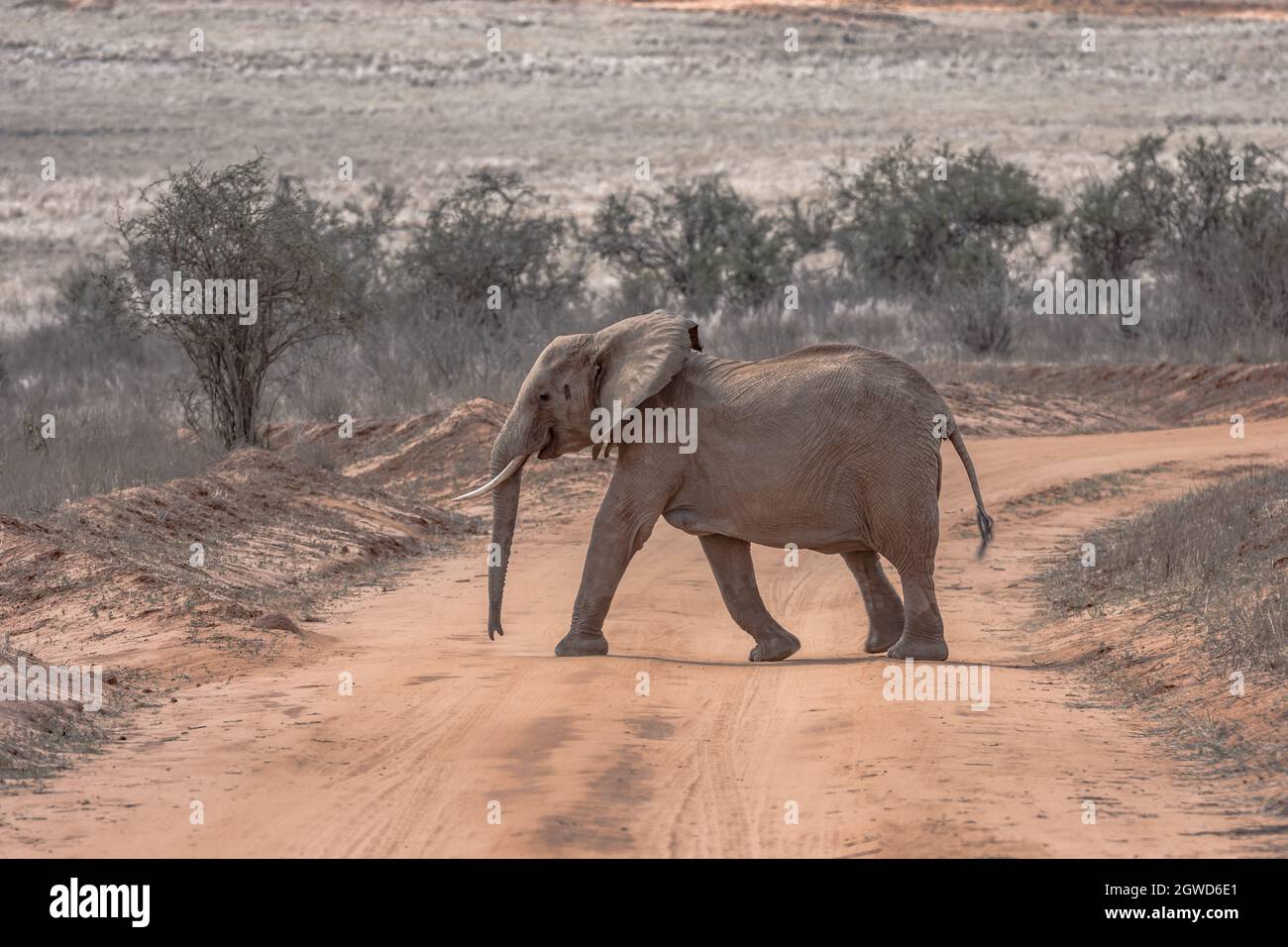 Marram Road High Resolution Stock Photography and Images - Alamy