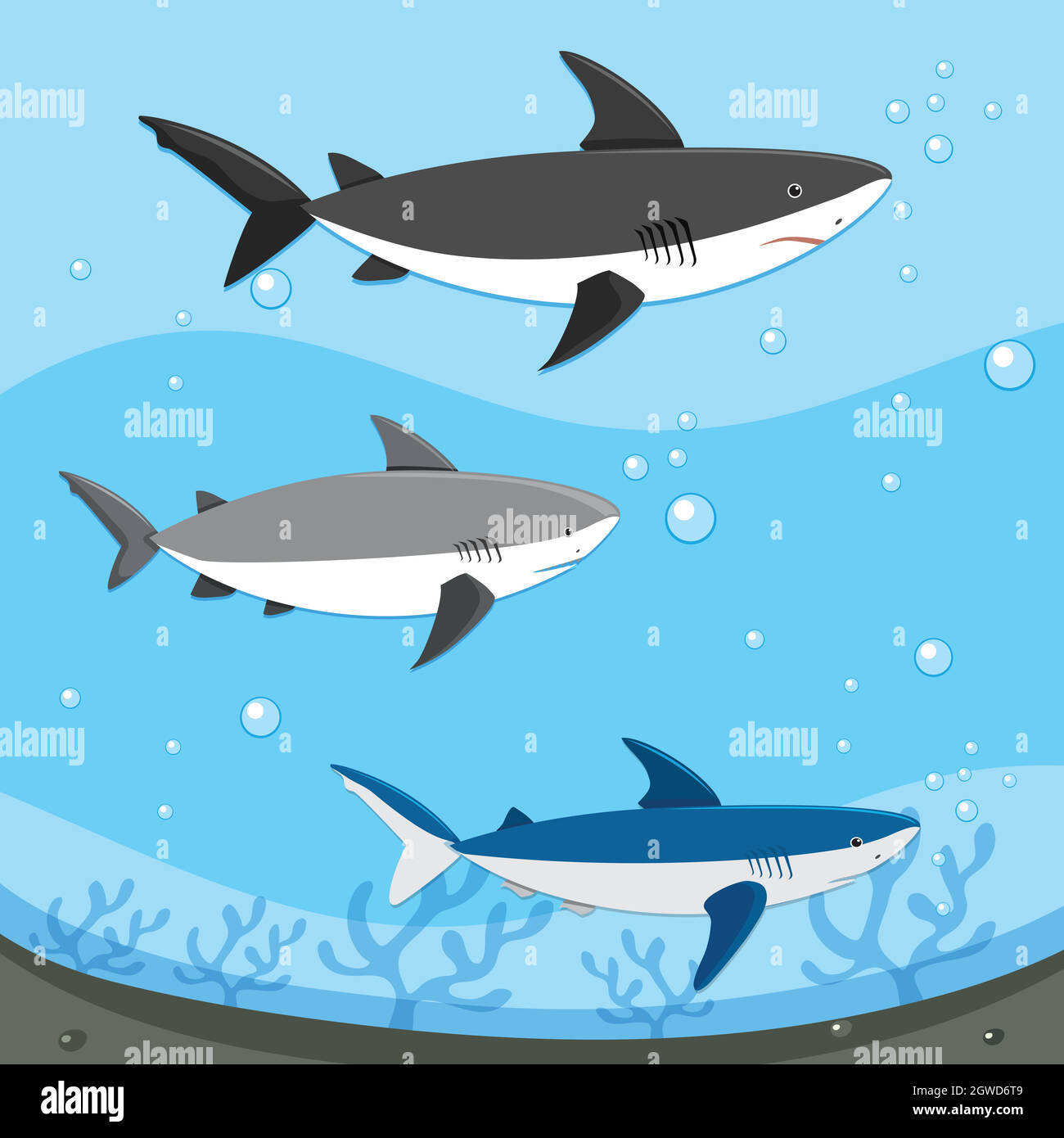 Diffrent Sharks Swimming Underwater Stock Vector Image & Art - Alamy
