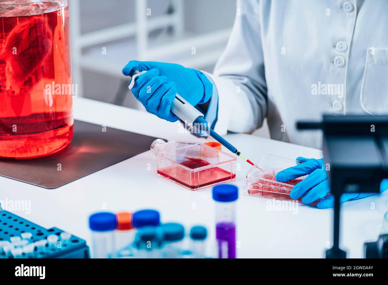 Cultures in vitro hi-res stock photography and images - Alamy