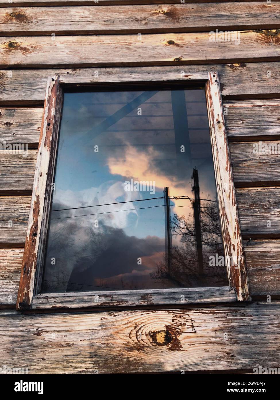 A Dog Behind The Glass Stock Photo - Alamy