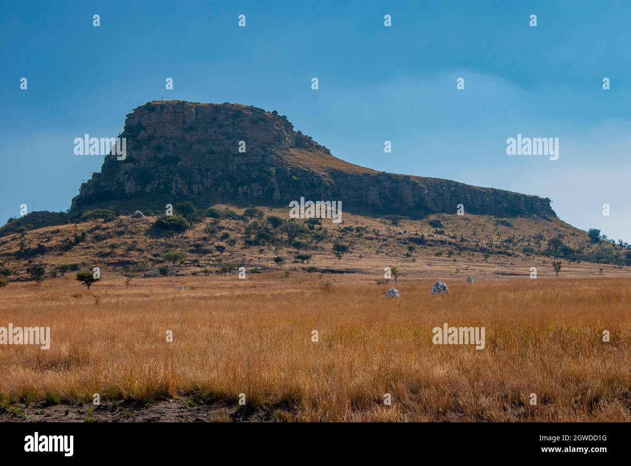 Battle Of Isandlwana High Resolution Stock Photography and Images - Alamy