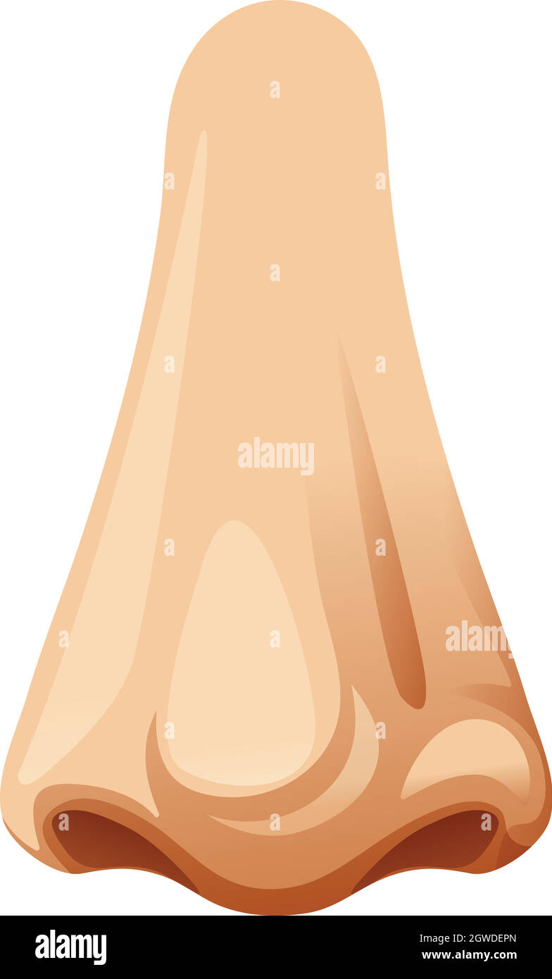 Human nose graphic Stock Vector Images - Alamy