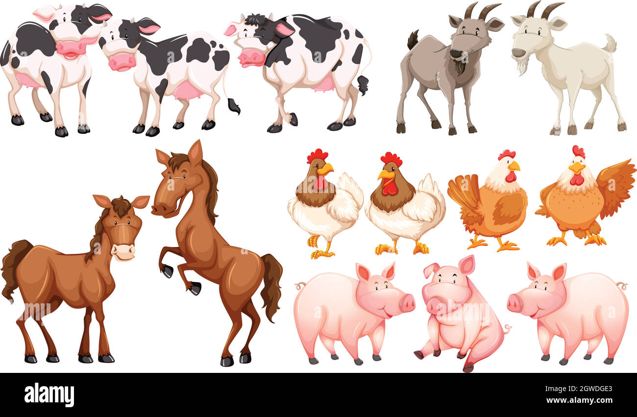 Different animals in the farm Stock Vector Image & Art - Alamy