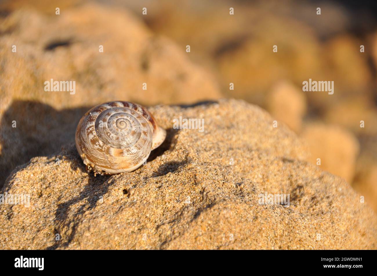 Drink spiaggia hi-res stock photography and images - Alamy
