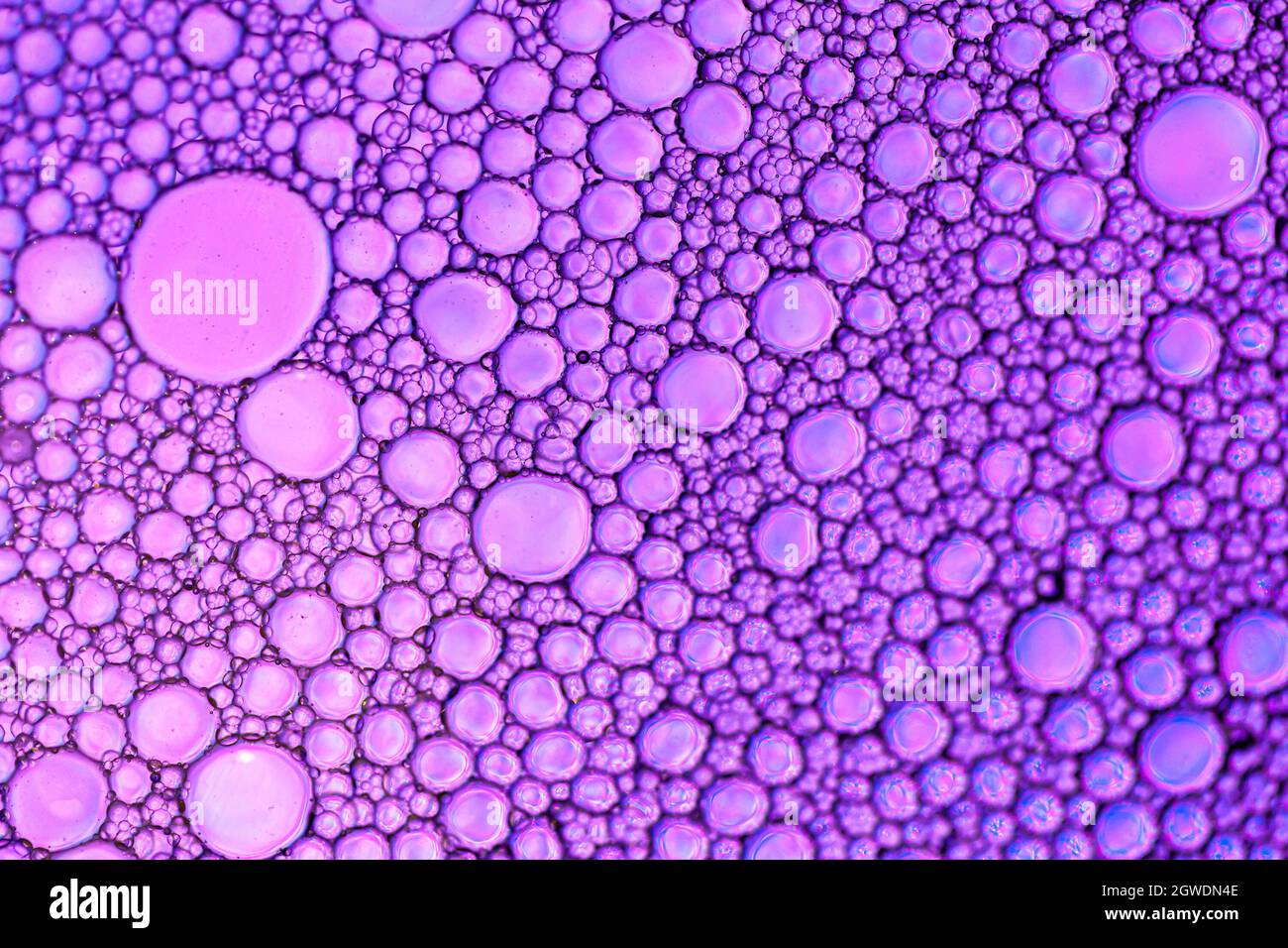 COLORED DROPS OF WATER ON THE GLASS. BACKGROUND FOR DESIGN. High ...