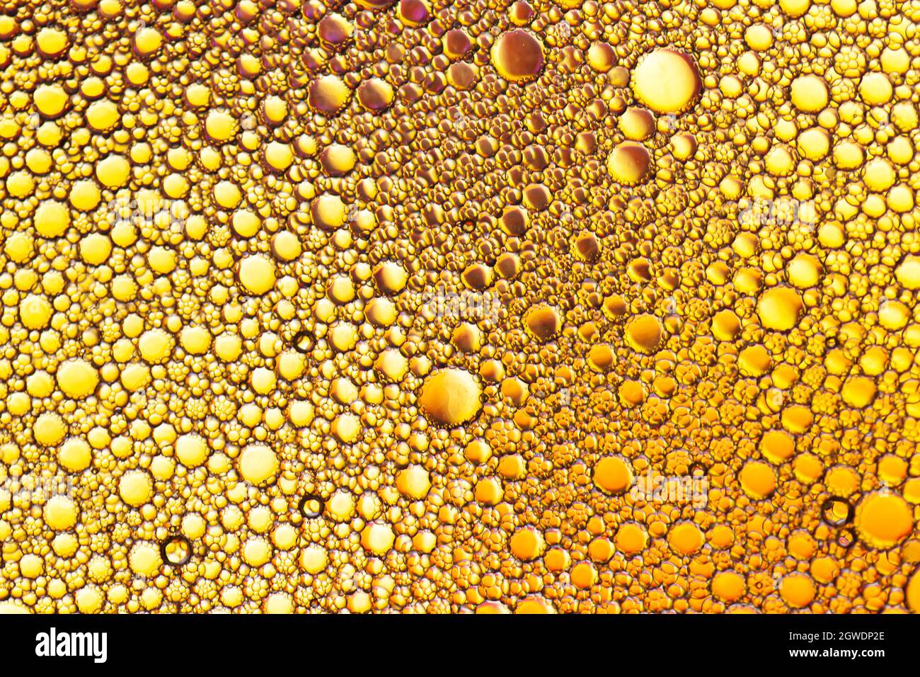 COLORED DROPS OF WATER ON THE GLASS. BACKGROUND FOR DESIGN. High ...