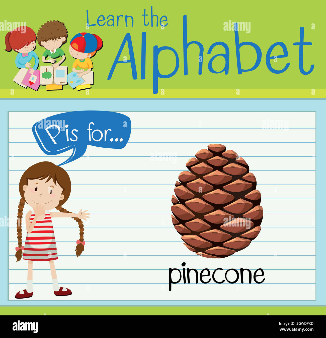 Flashcard letter P is for pinecone Stock Vector Image & Art - Alamy