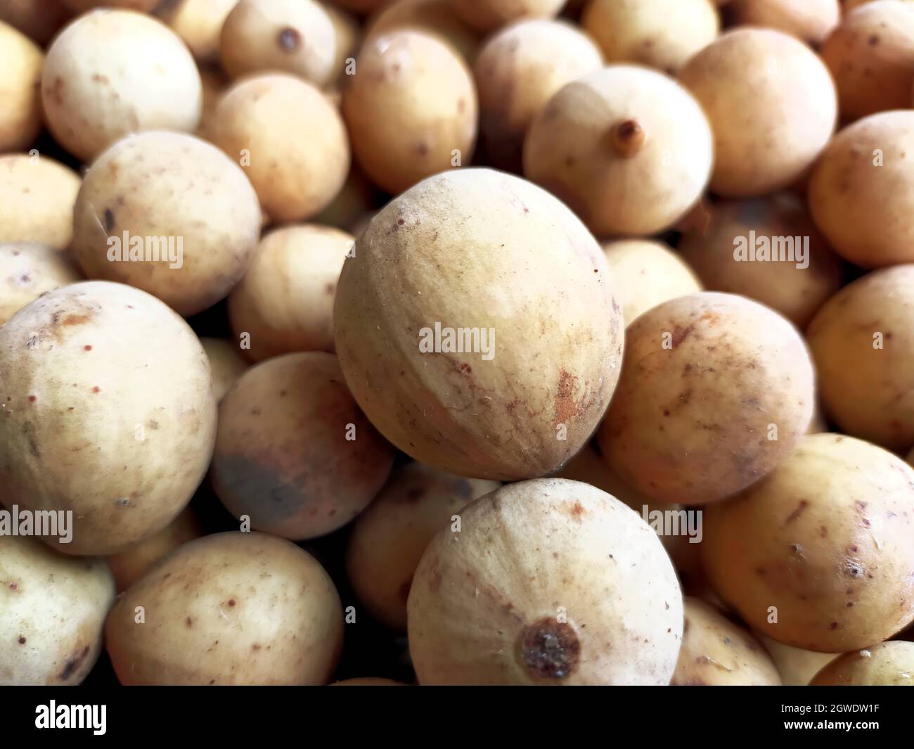 Duku Fruit High Resolution Stock Photography and Images - Alamy