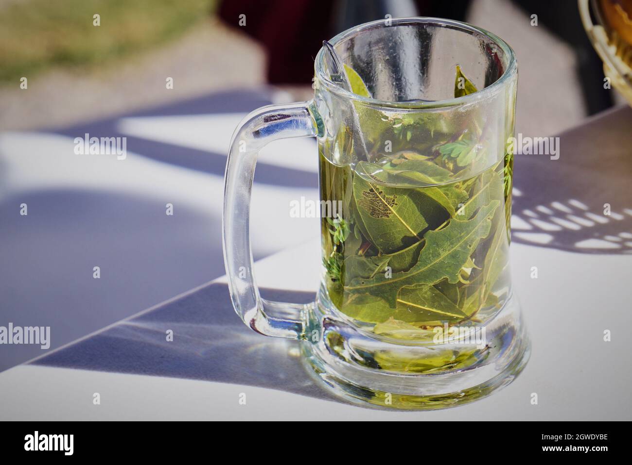 Traditional Peruvian Tea Infusion From Coca Leaves In A Mug, Peru Stock ...