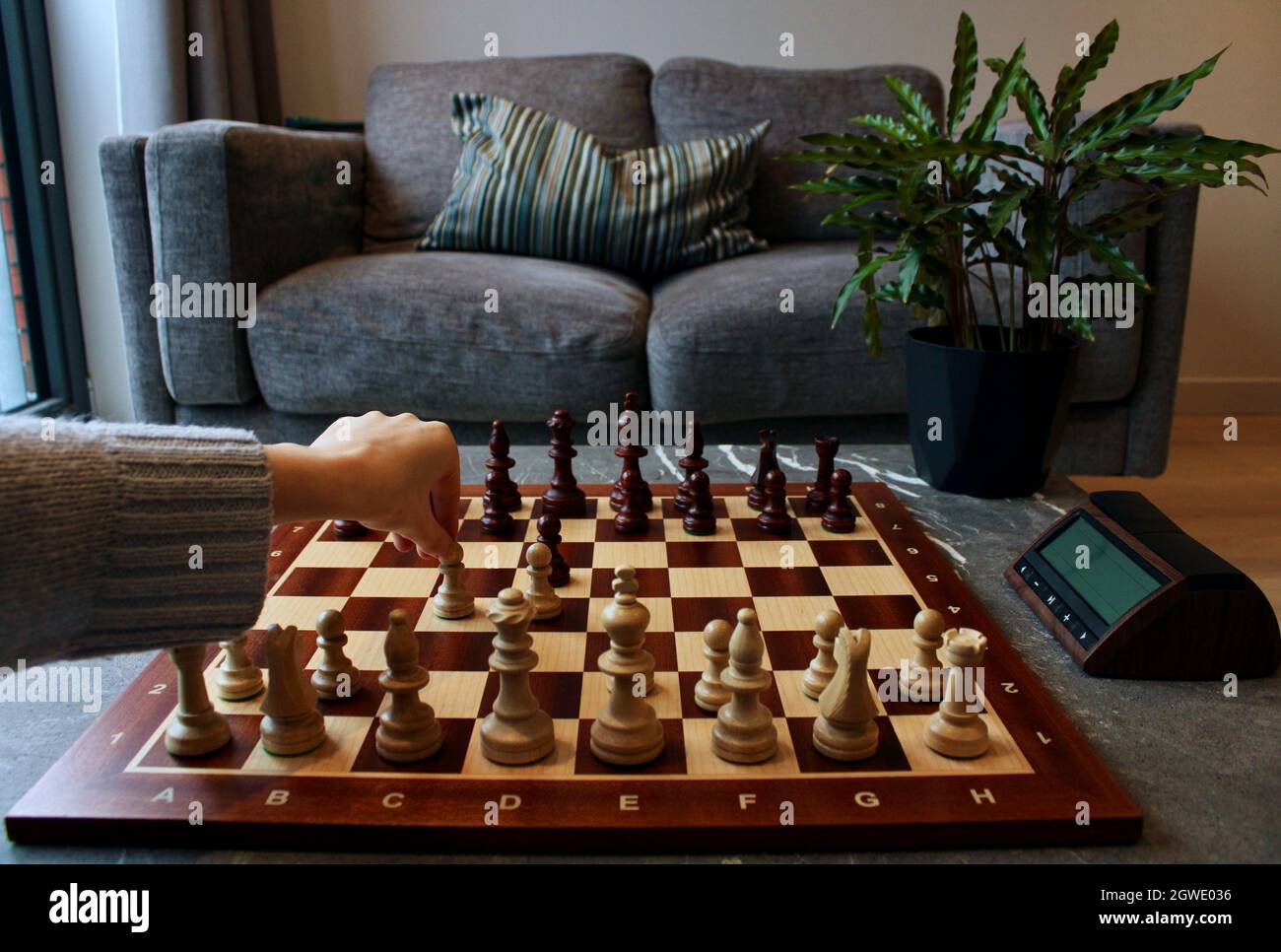 Living chess game one of queens hi-res stock photography and images - Alamy