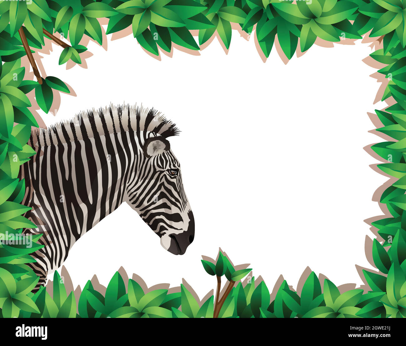 Zebra in wildlife Stock Vector Images - Alamy