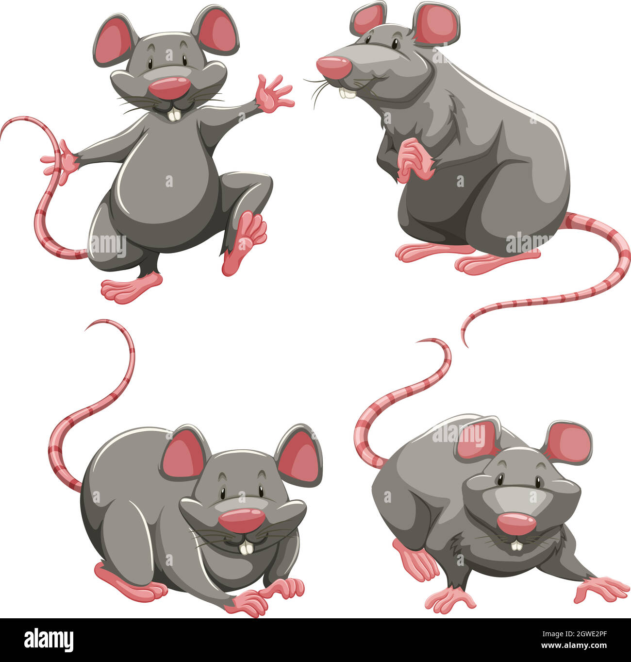 City rat Stock Vector Images - Alamy