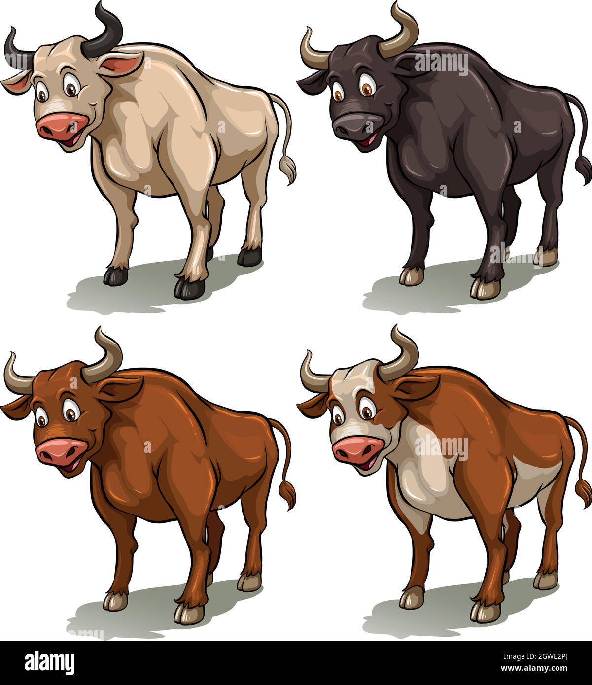 Four bull Stock Vector Images - Alamy