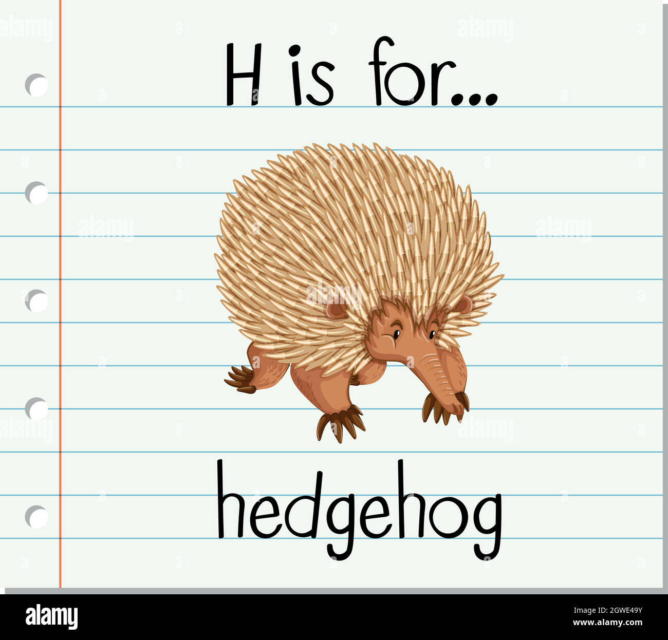Flashcard letter H is for hedgehog Stock Vector Image & Art - Alamy