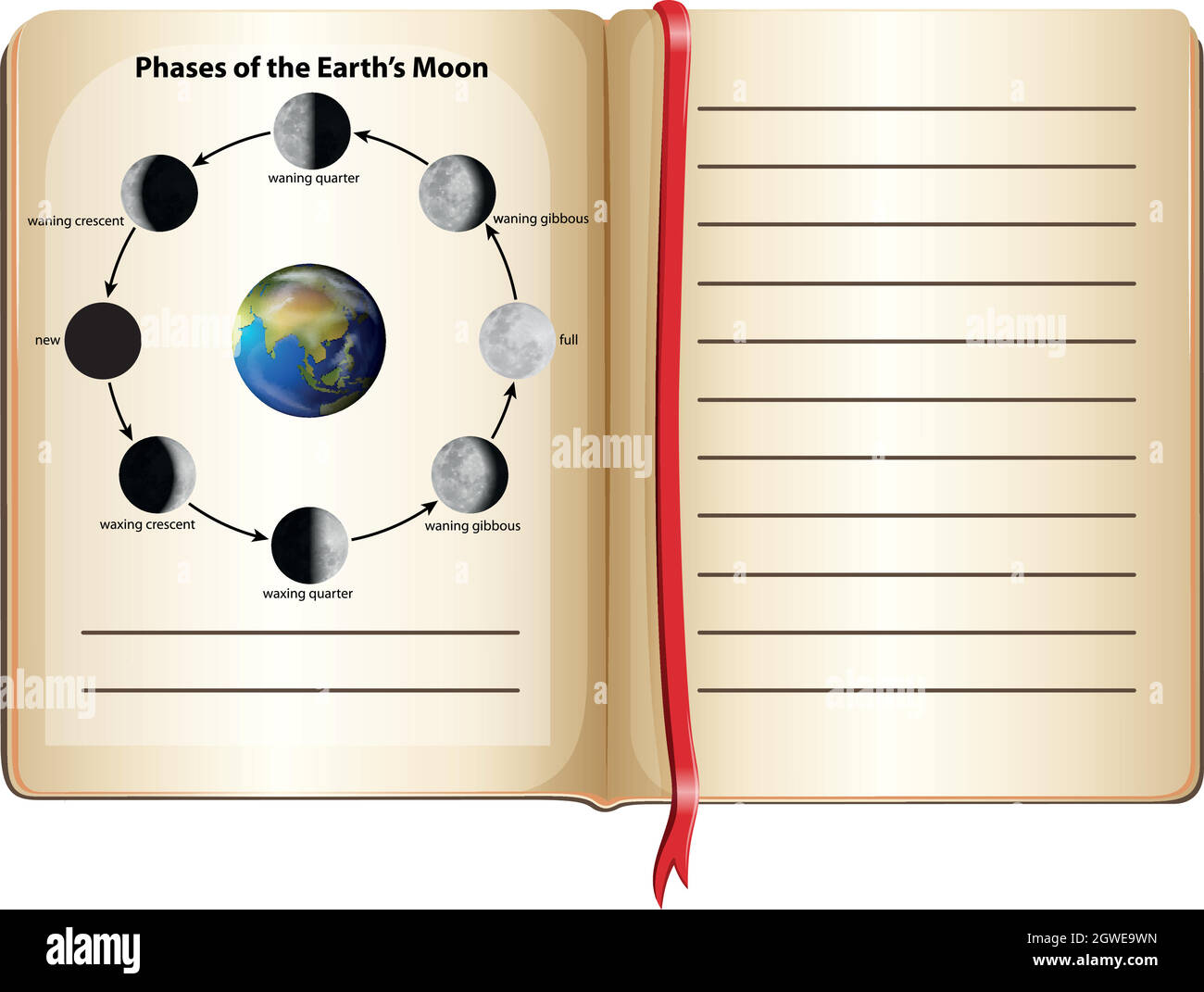 Phases of the moon illustration hi-res stock photography and images - Alamy