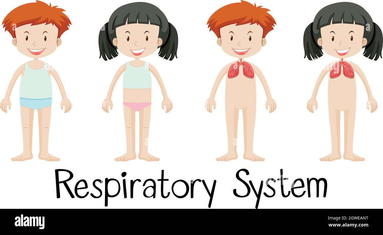 Children and respiratory system Stock Vector Image & Art - Alamy