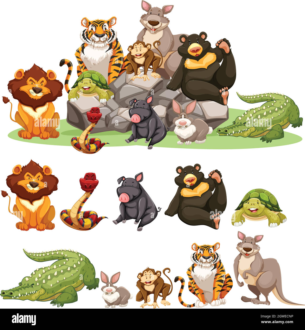 Different types of wild animals Stock Vector Image & Art - Alamy
