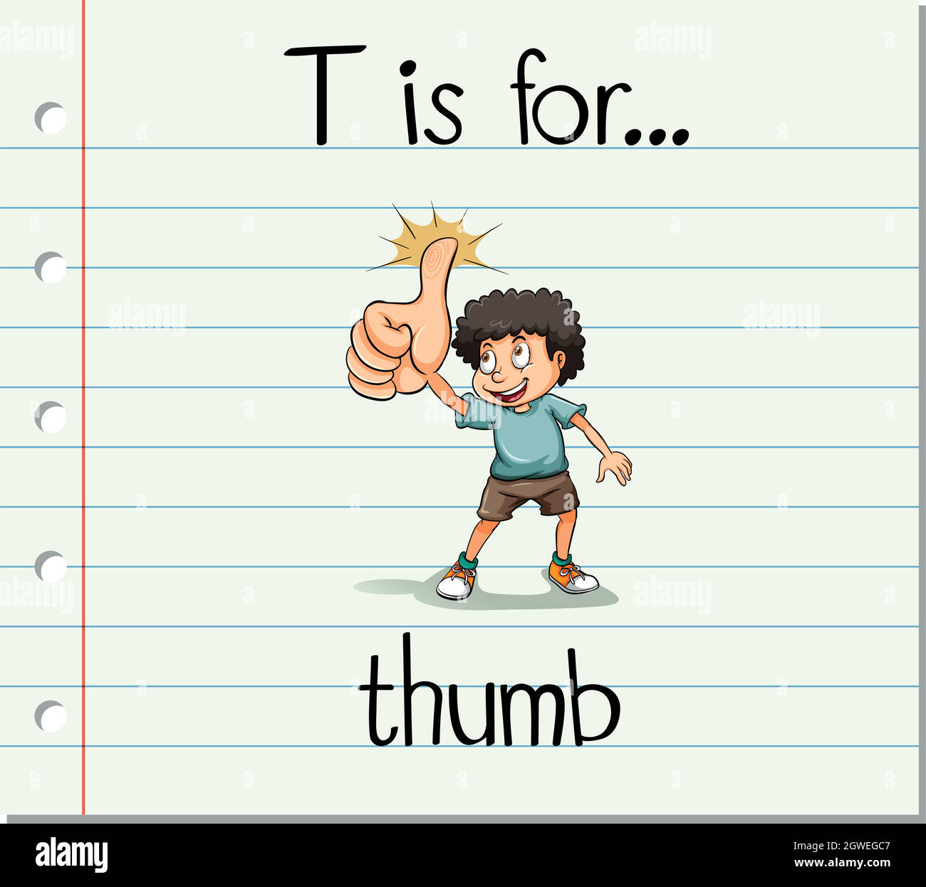 Flashcard letter T is for thumb Stock Vector Image & Art - Alamy