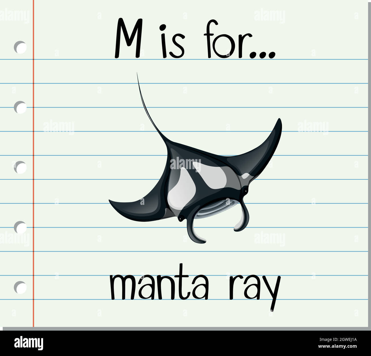 Manta ray Stock Vector Images - Alamy