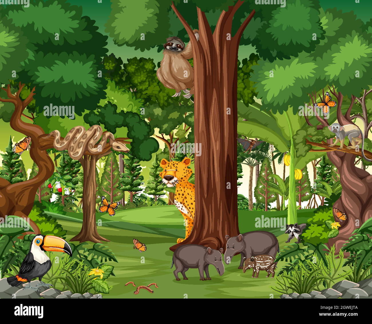 Rainforest scene with wild animals Stock Vector Image & Art - Alamy