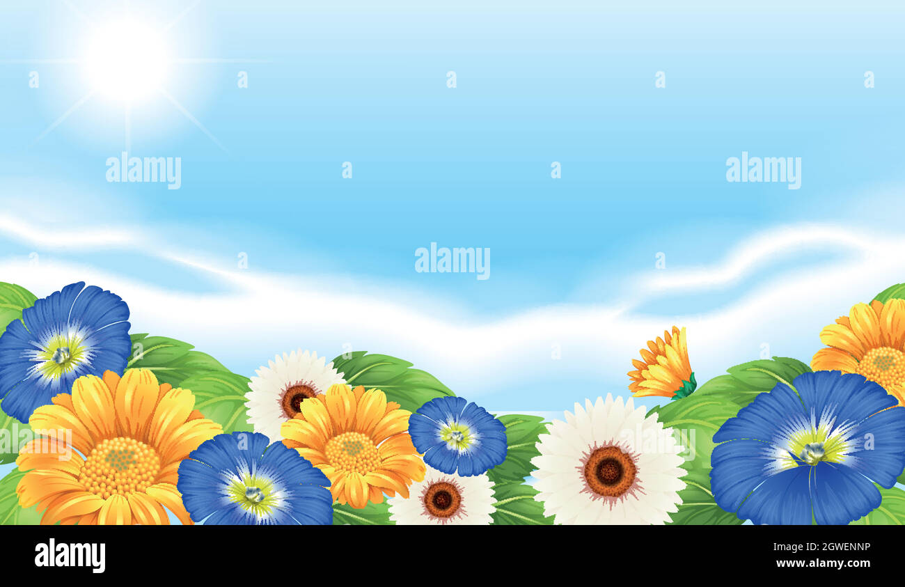 White garden in summer Stock Vector Images - Alamy