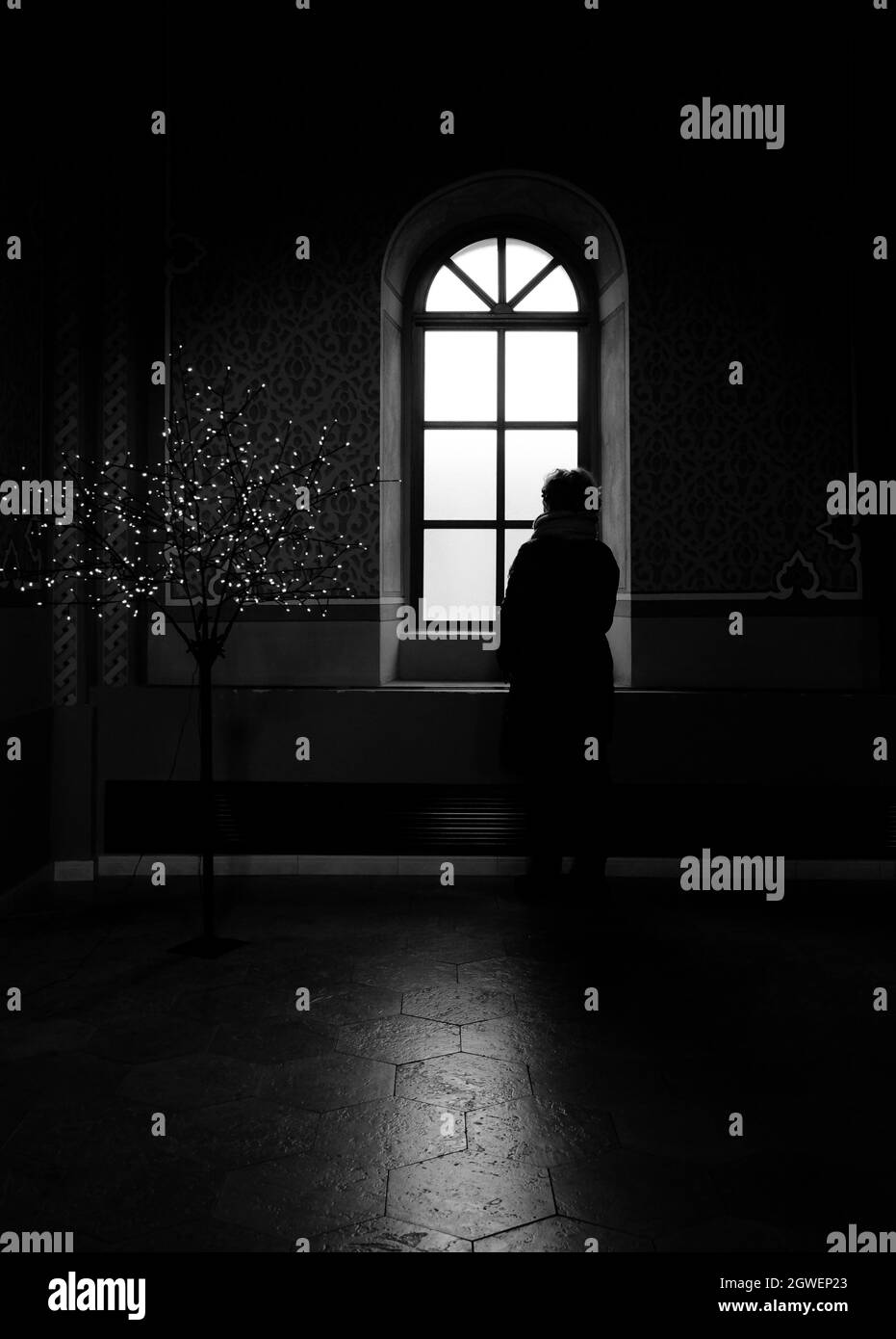Rear View Of Silhouette Woman Standing Against Window In Building Stock ...