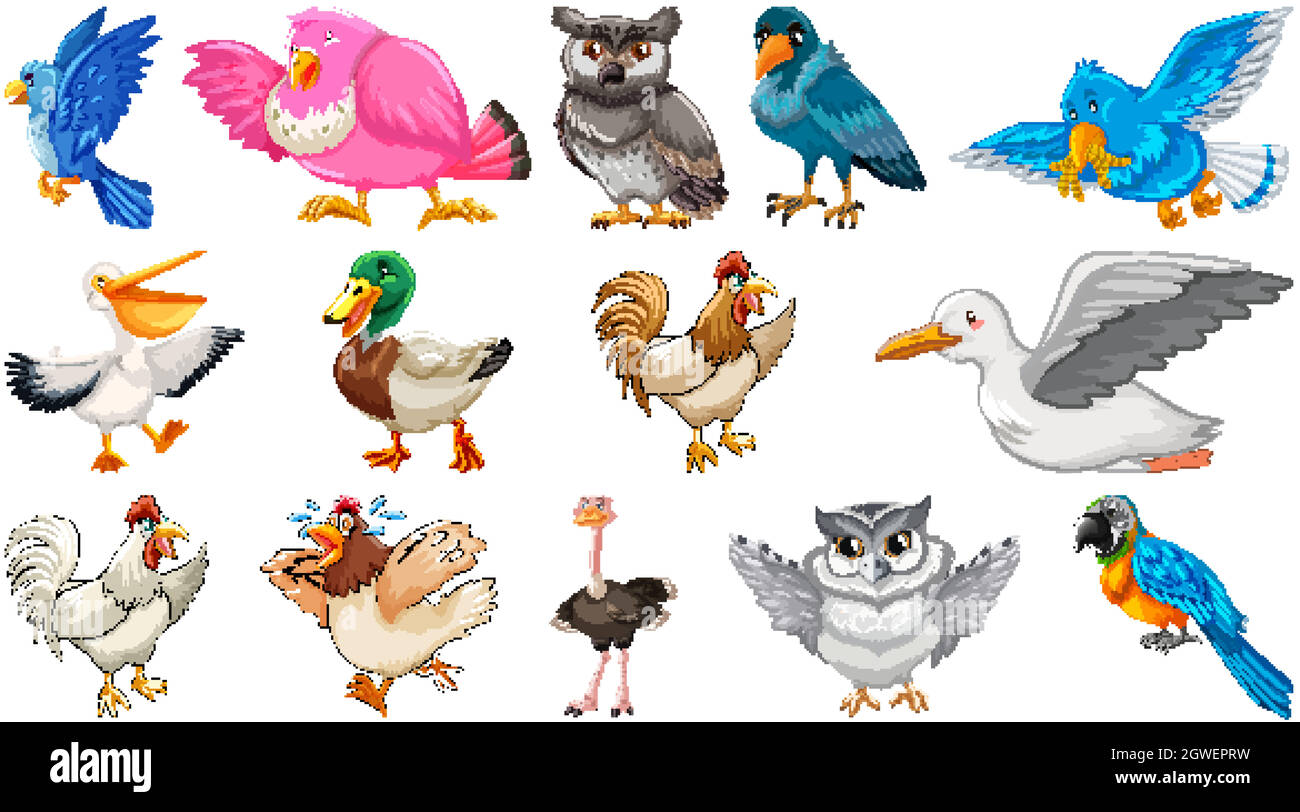 Set of different birds cartoon style isolated on white background Stock ...