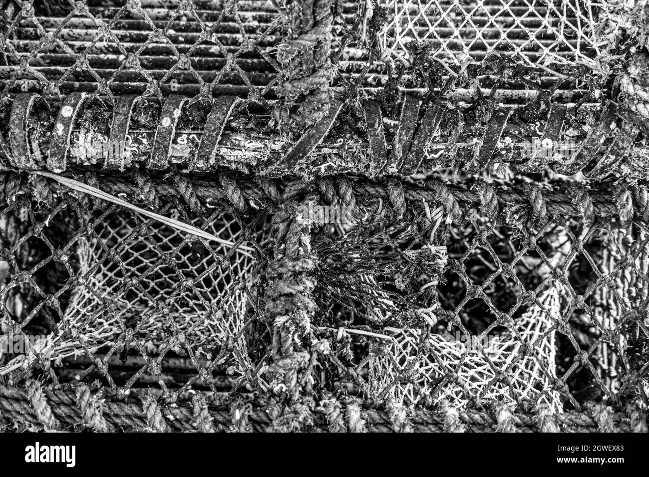 Lobster and Crab Pots and ropes close up low level view for nautical ...