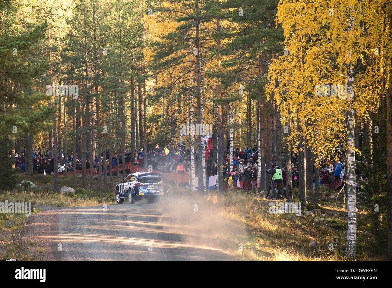 44 Greensmith Gus (gbr), Patterson Chris (irl), M-Sport Ford World ...