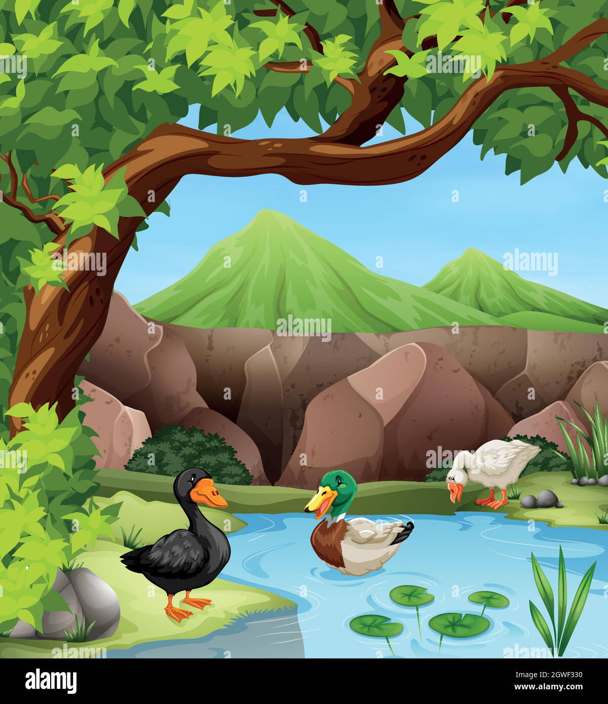 Ducks land Stock Vector Images - Alamy
