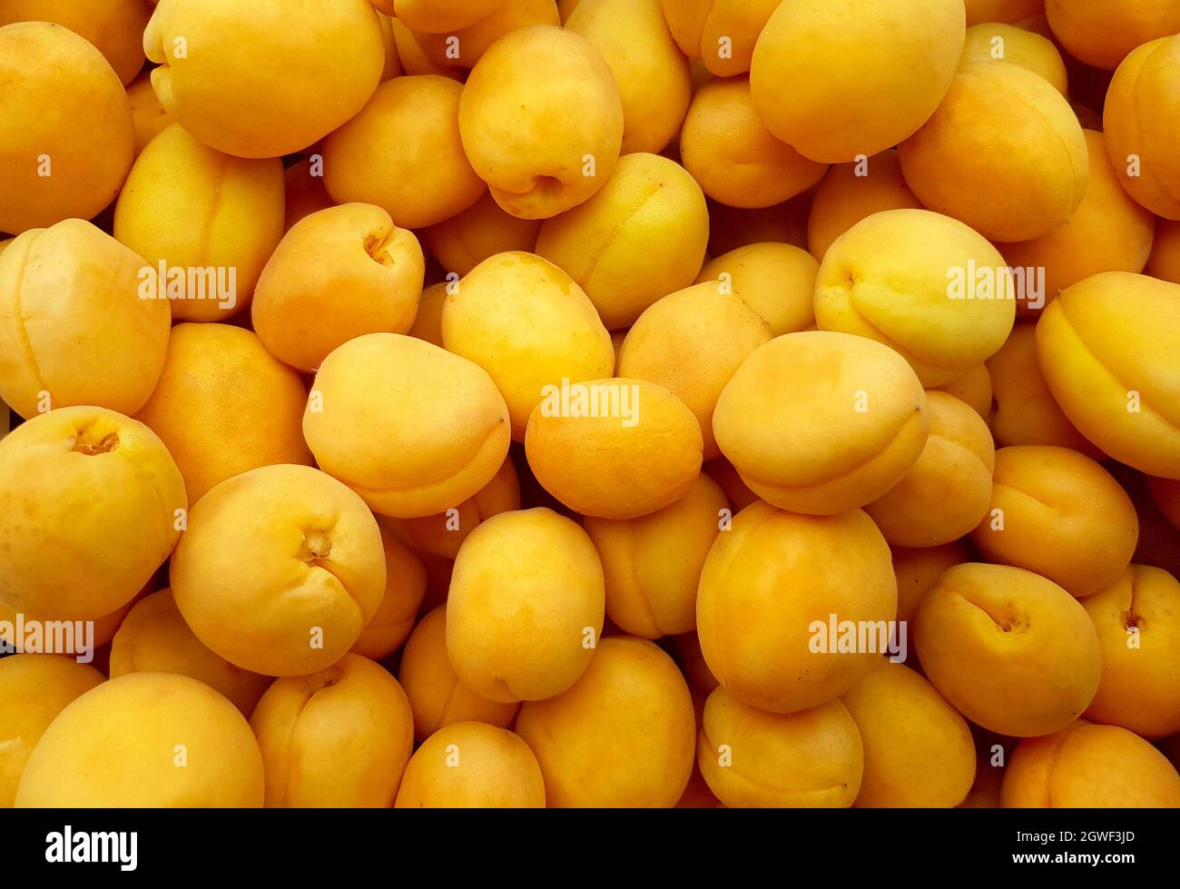 Ripe apricots fruit background Stock Photo - Alamy