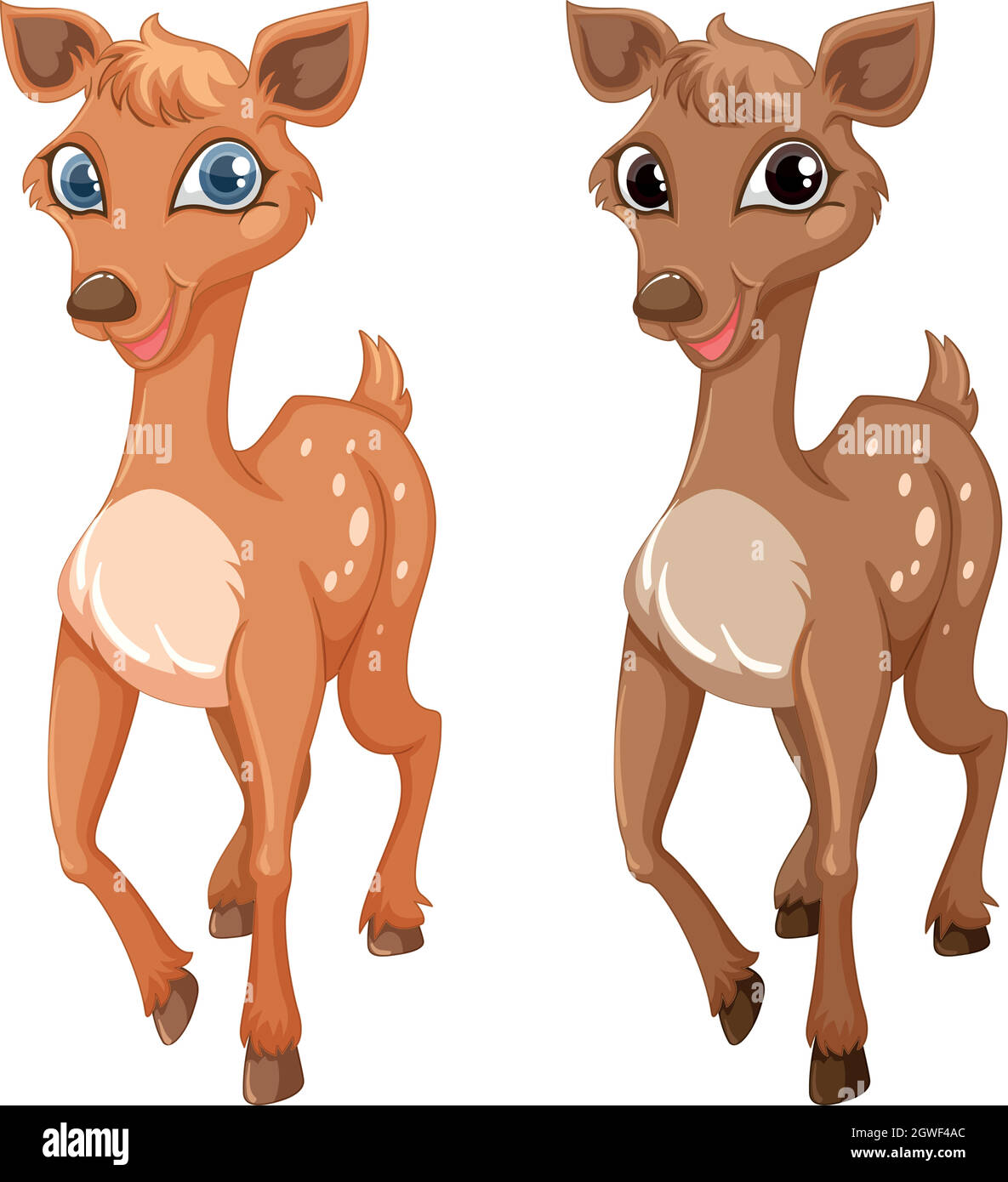 Two fawn Stock Vector Images - Alamy