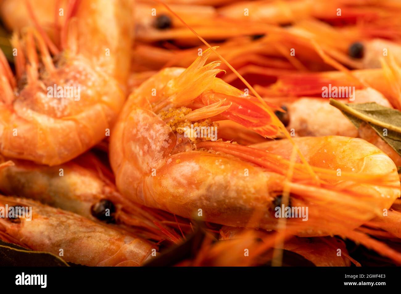 Atlantic shrimp cooked with allspice and bay leaf close-up, surface ...