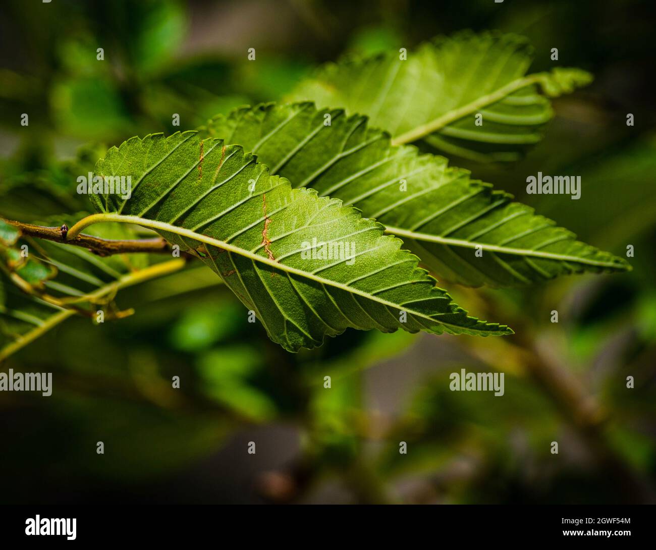 Albuquerque autumn fall hi-res stock photography and images - Alamy