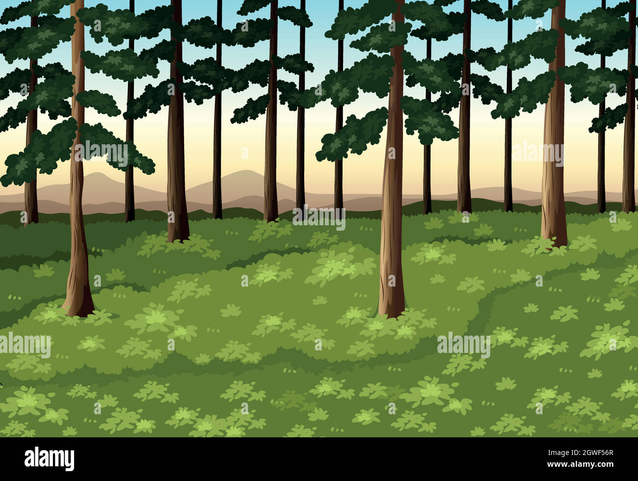 View woods in background Stock Vector Images - Alamy