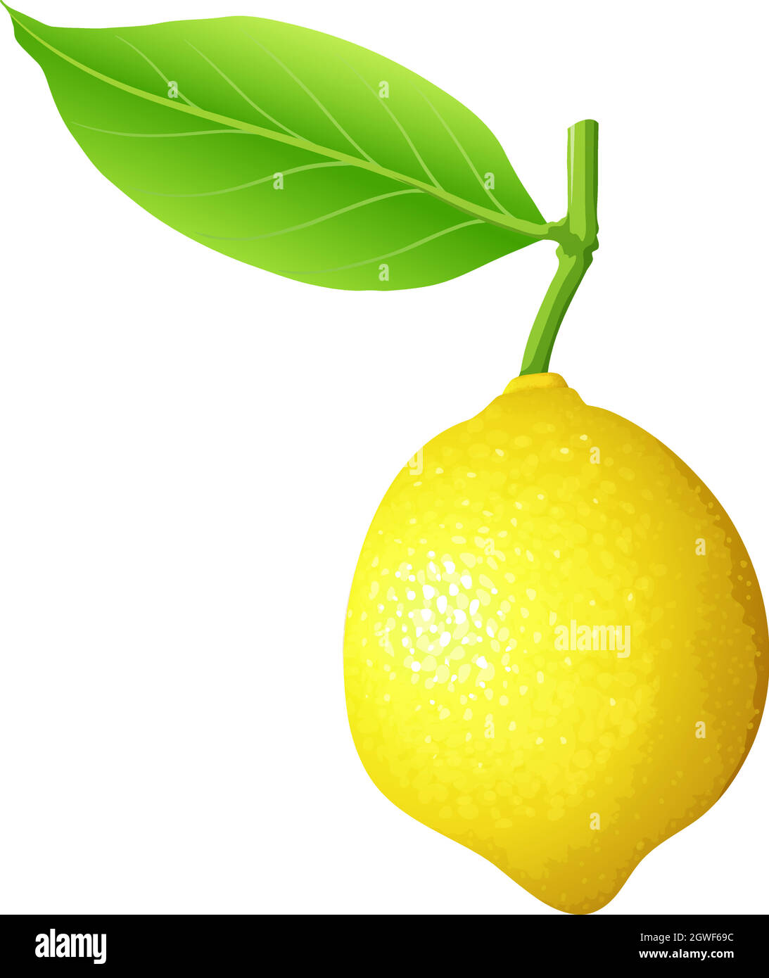 Fresh lemon with stem and leaf Stock Vector Image & Art - Alamy