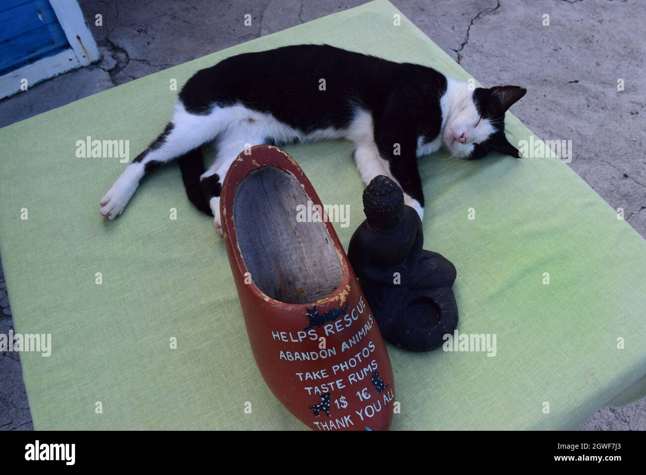 Donation box animal hi-res stock photography and images - Alamy