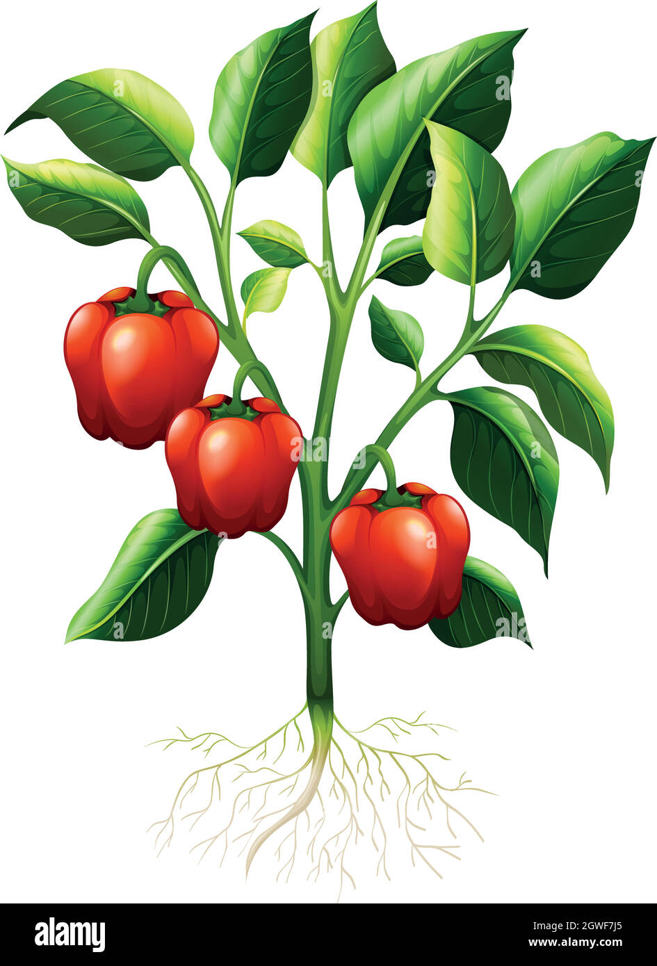 Red And Green Planting Stock Vector Images Alamy