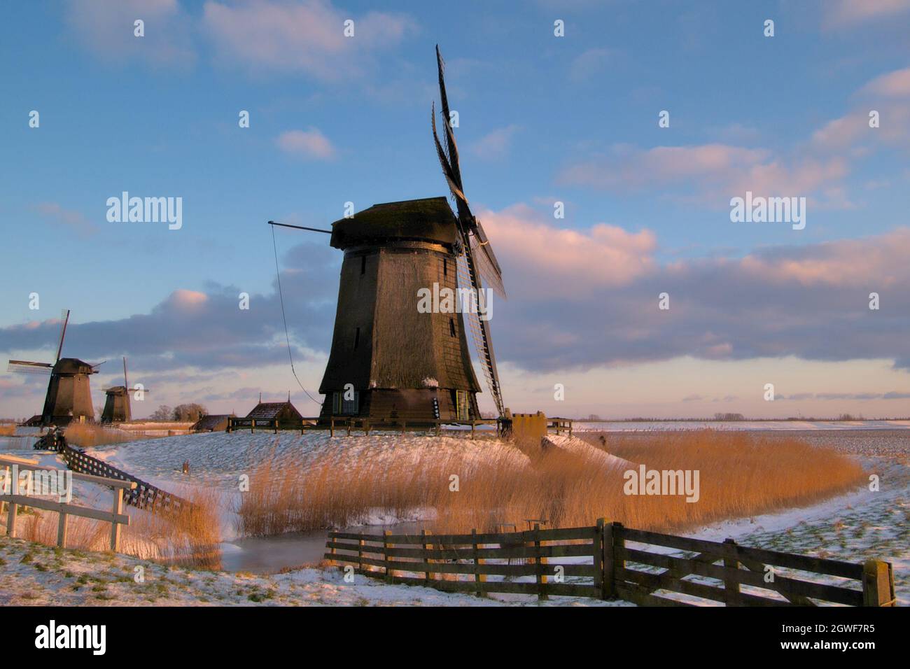 17th century dutch windmills hi-res stock photography and images - Alamy