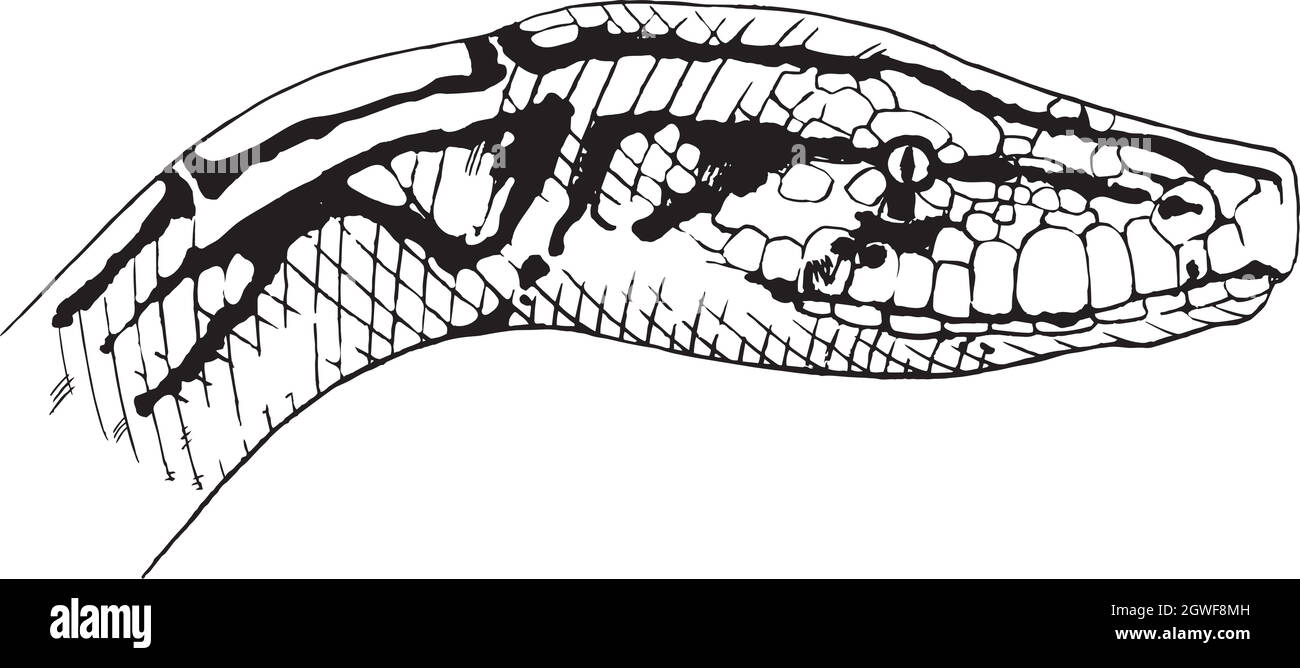 Indian herpetology hi-res stock photography and images - Alamy