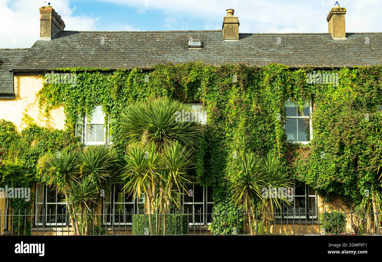 Ireland palm trees hi-res stock photography and images - Alamy