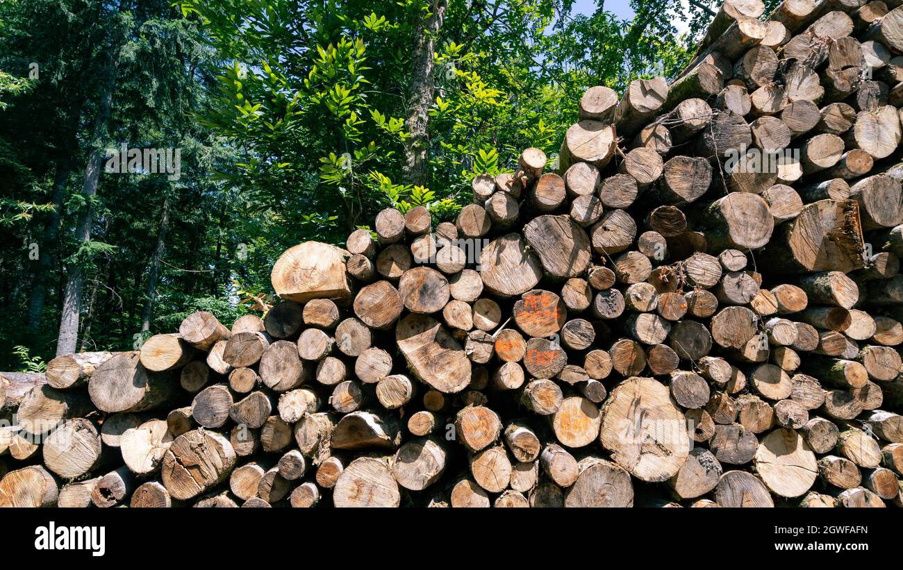 Timber climbing frame hi-res stock photography and images - Alamy